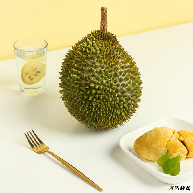D13 Malaysia Nitrogen Golden Durian